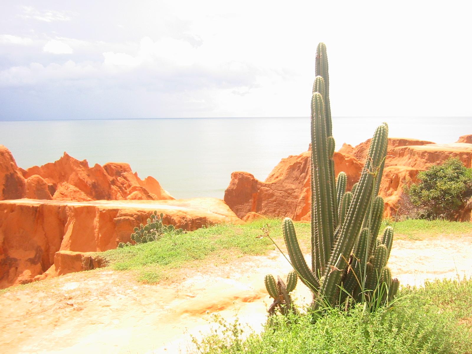 Monumento Natural das Falésias de Beberibe - Secretaria do Meio Ambiente