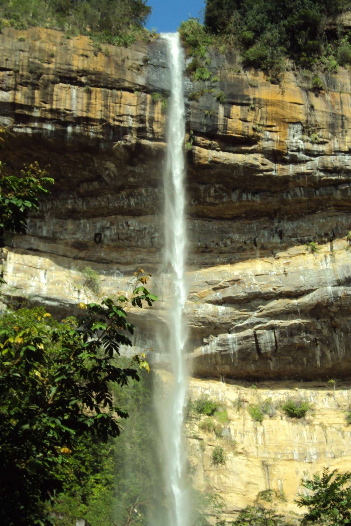 Área de Proteção Ambiental da Bica do Ipu - Secretaria do Meio Ambiente