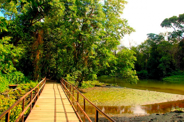 Parque Estadual do COCÓ - Secretaria do Meio Ambiente
