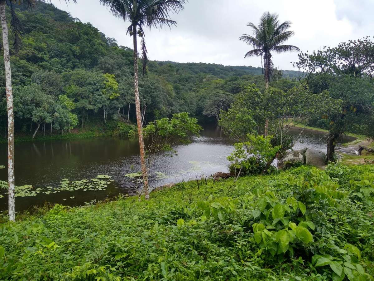 Parque Estadual do Cocó PA - Secretaria do Meio Ambiente