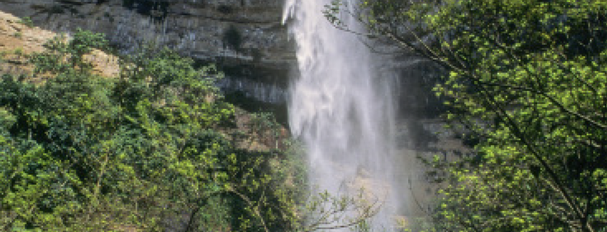 APA DA BICA DO IPU - Secretaria do Meio Ambiente