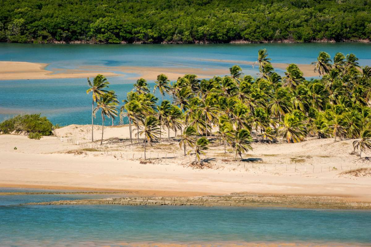 APA ESTUÁRIO do RIO CURU - Secretaria do Meio Ambiente