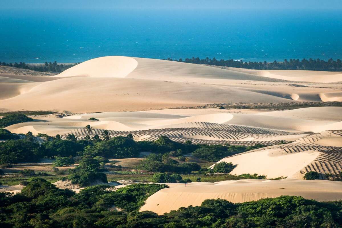 Estação Ecológica do PECÉM - Secretaria do Meio Ambiente
