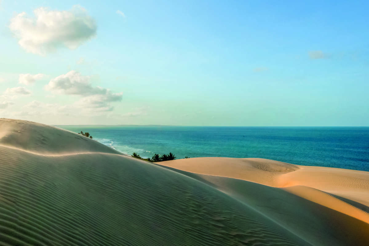 APA DAS DUNAS DE PARACURU - Secretaria do Meio Ambiente