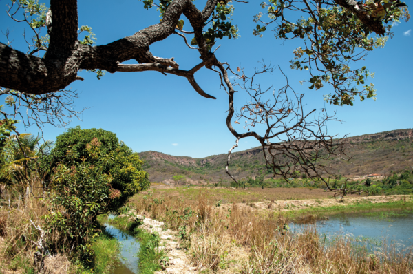 Monumento Natural SÍTIO CANA BRAVA - Secretaria do Meio Ambiente